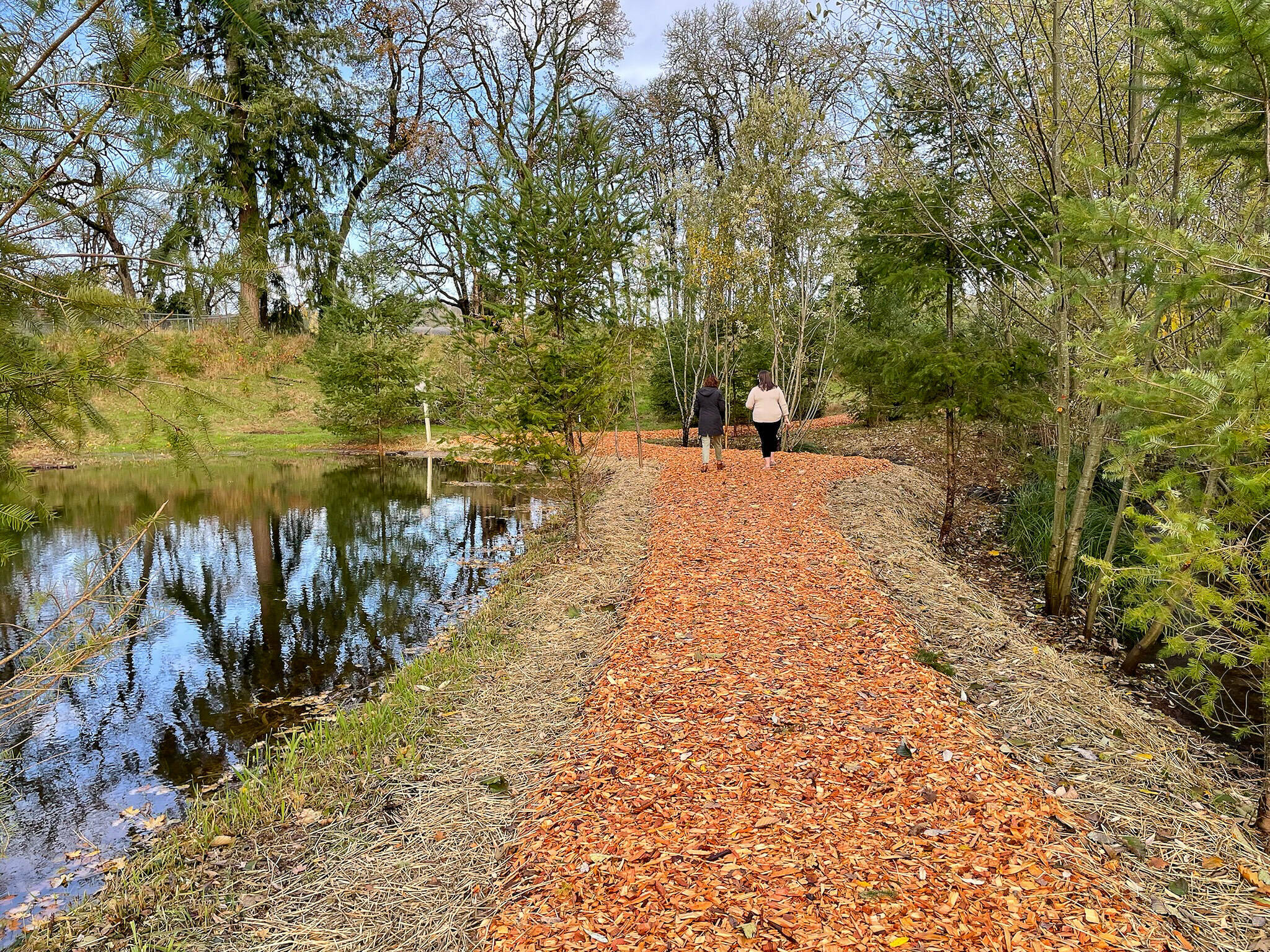 Blue Zones provide foundation to increase life expectancy, quality of ...