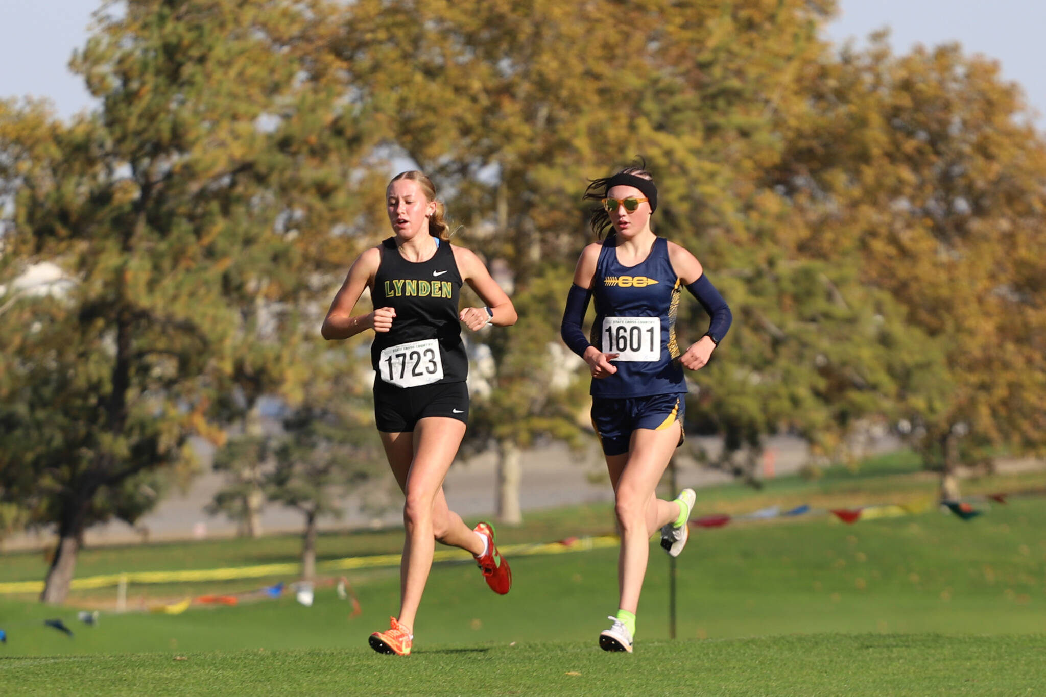 Prep Cross Country Roundup: Aberdeen’s Haggard places eighth in state ...