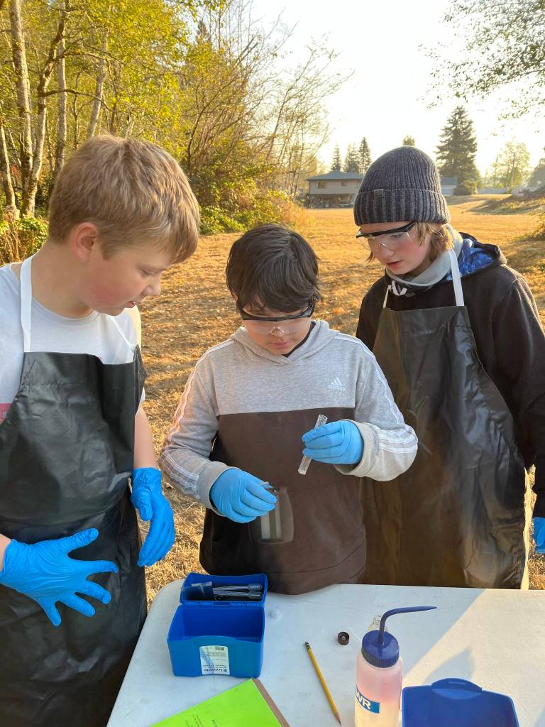 McCleary middle school students test Wildcat Creek water | The Daily World