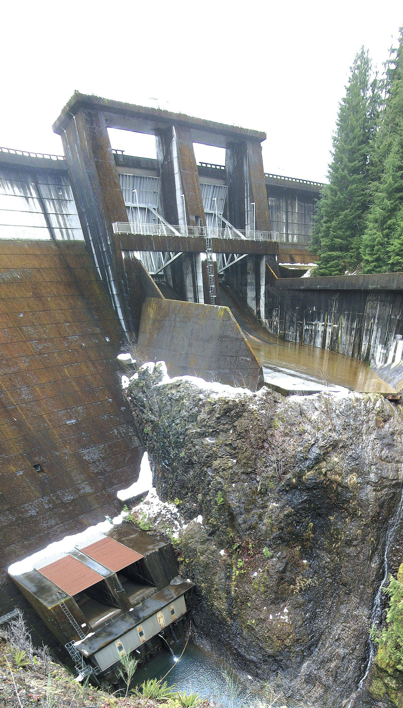 Woman rescued after falling off edge near Wynoochee Dam | The Daily World
