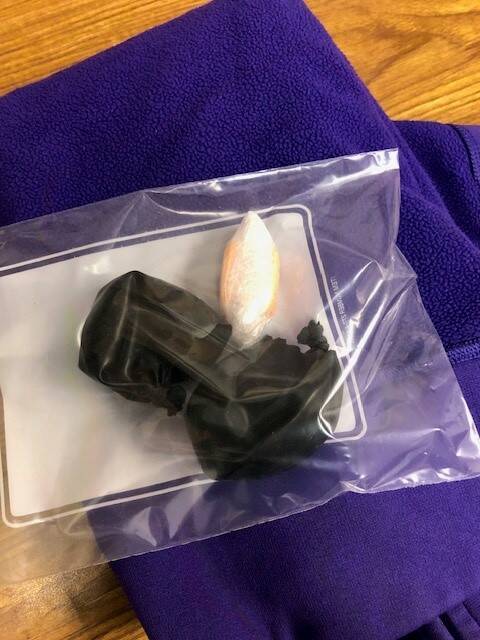 Woman arrested for attempting to smuggle drugs into prison | The Daily ...