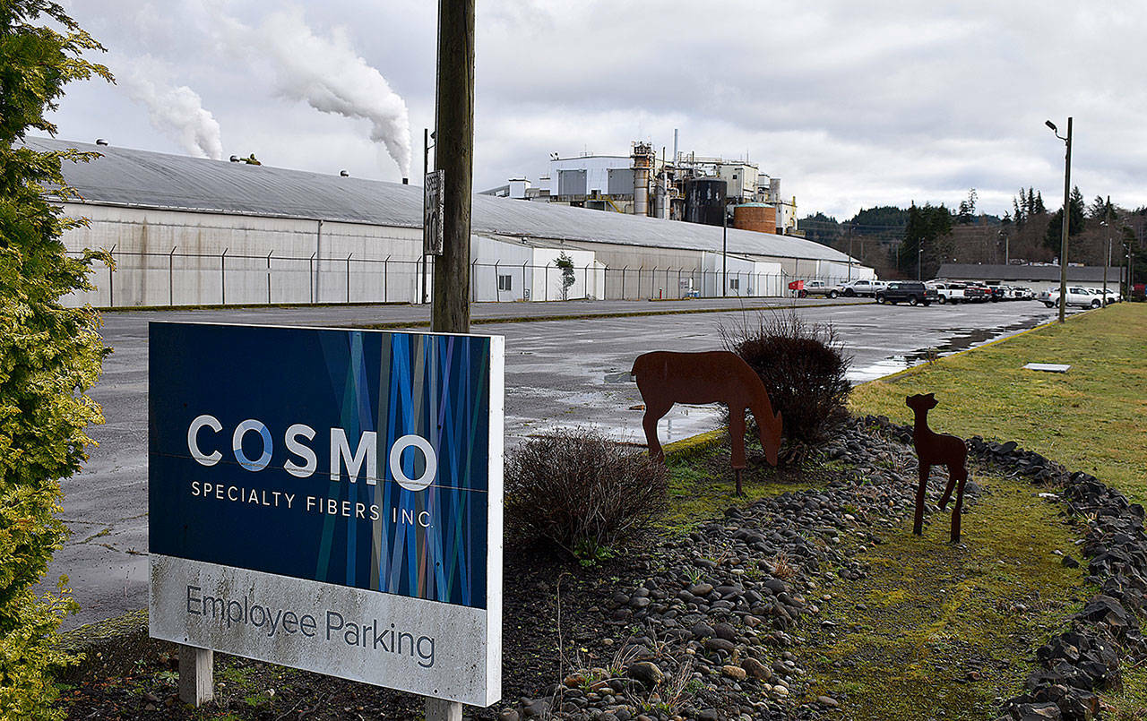 Bassett looks to reopen Cosmo Specialty Fibers | The Daily World