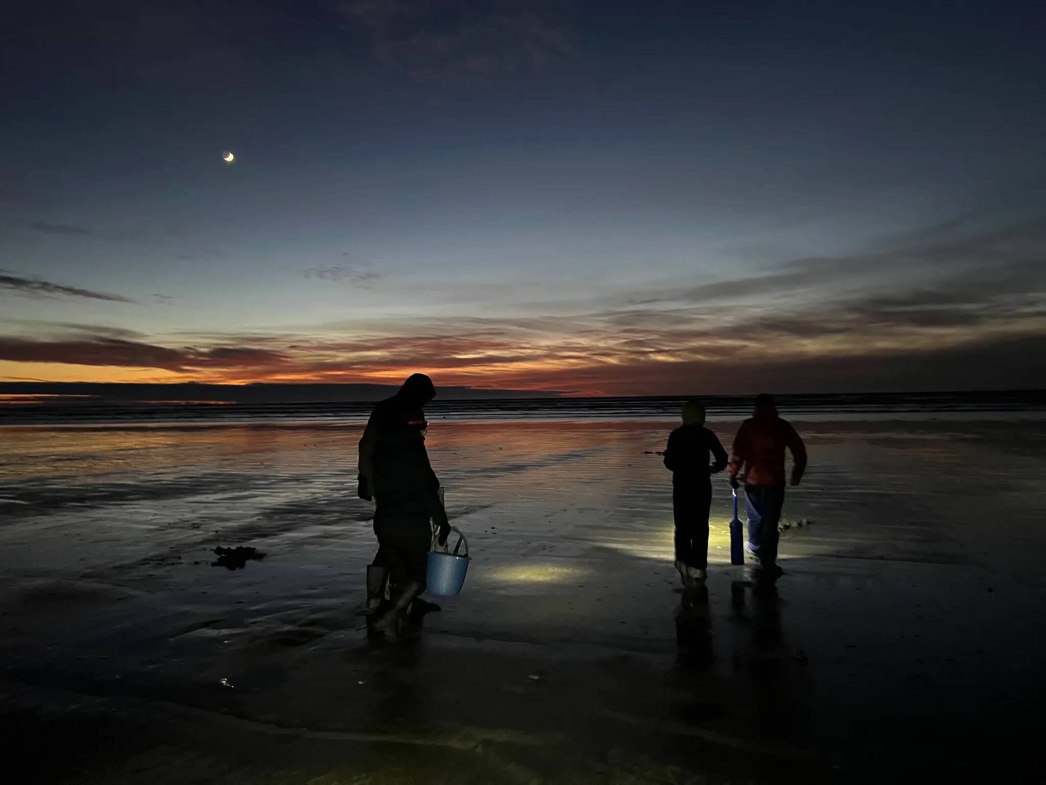 WDFW approves coastal razor clam digs beginning Jan. 29 | The Daily World