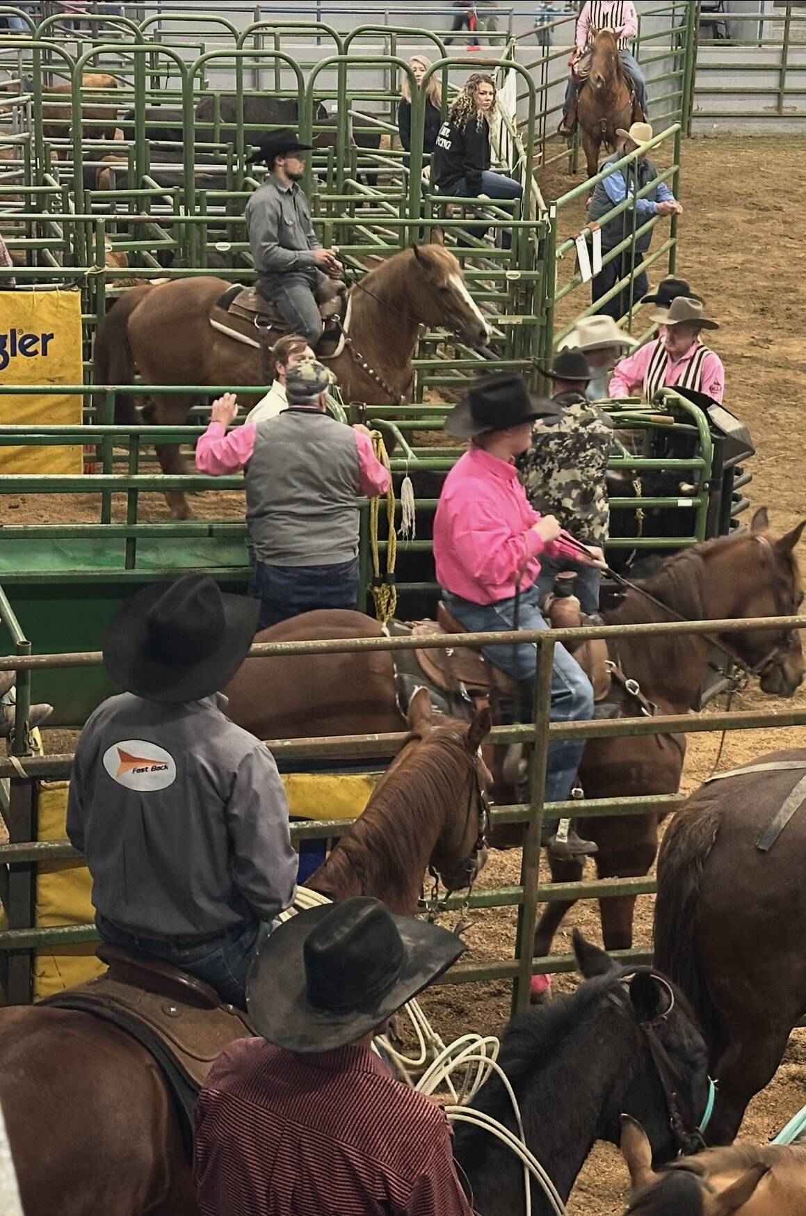Grays Harbor Mounted Posse Indoor Rodeo draws record crowds | The Daily ...