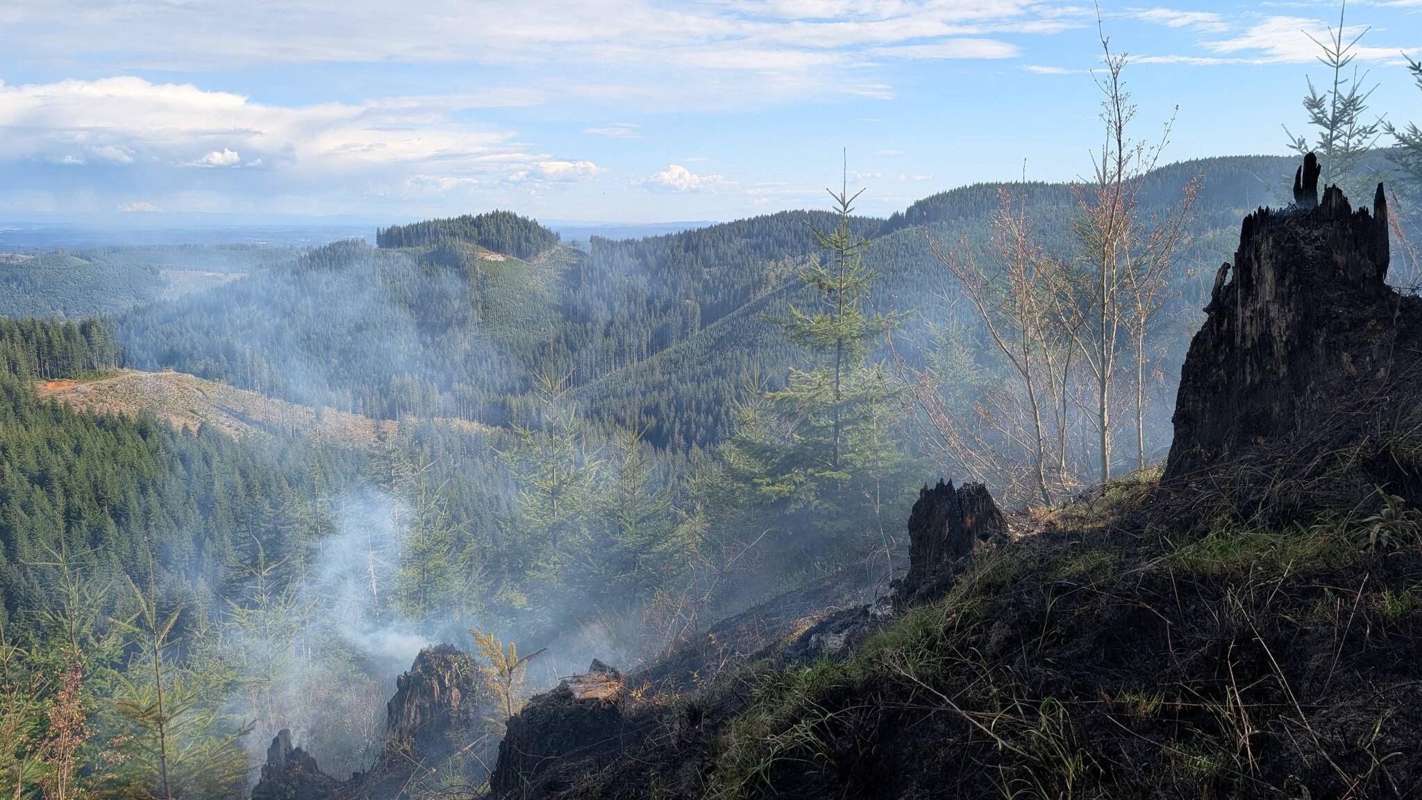 Capitol State Forest brush fire a sign of the coming times | The Daily ...
