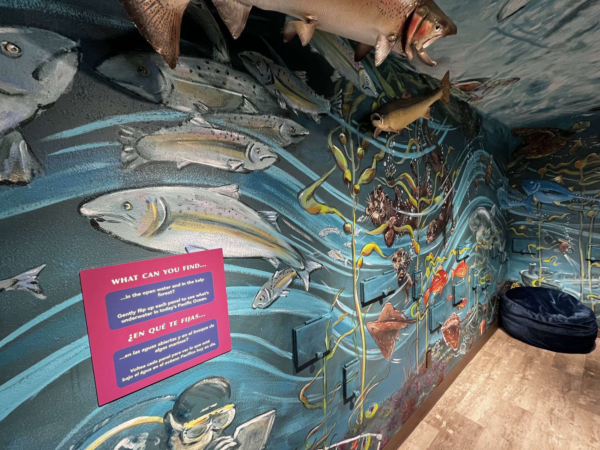 What’s new to see at Ocean Shores Coastal Interpretive Center | The ...