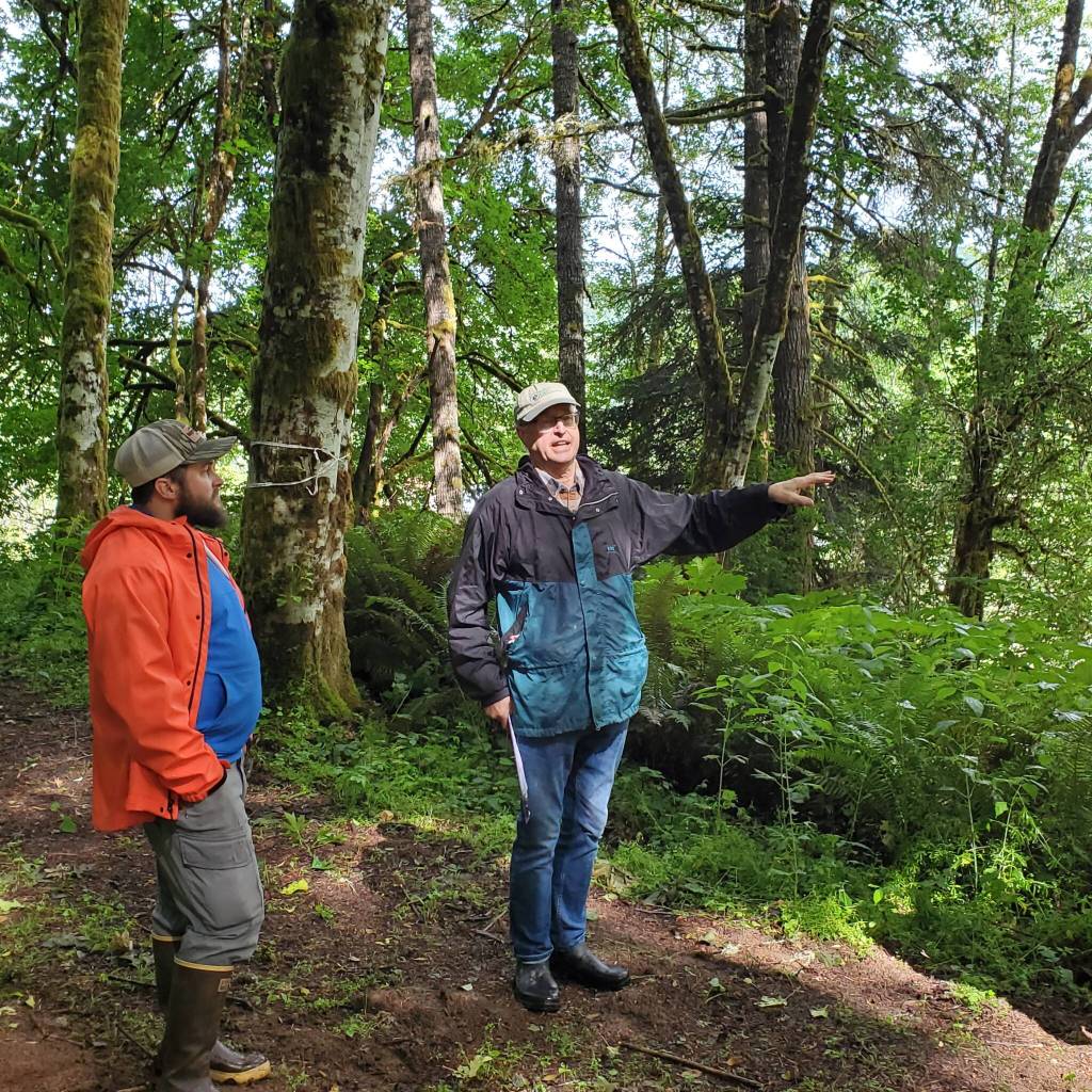 Wild Thyme Farm is Washington Tree Farmer of the Year | The Daily World